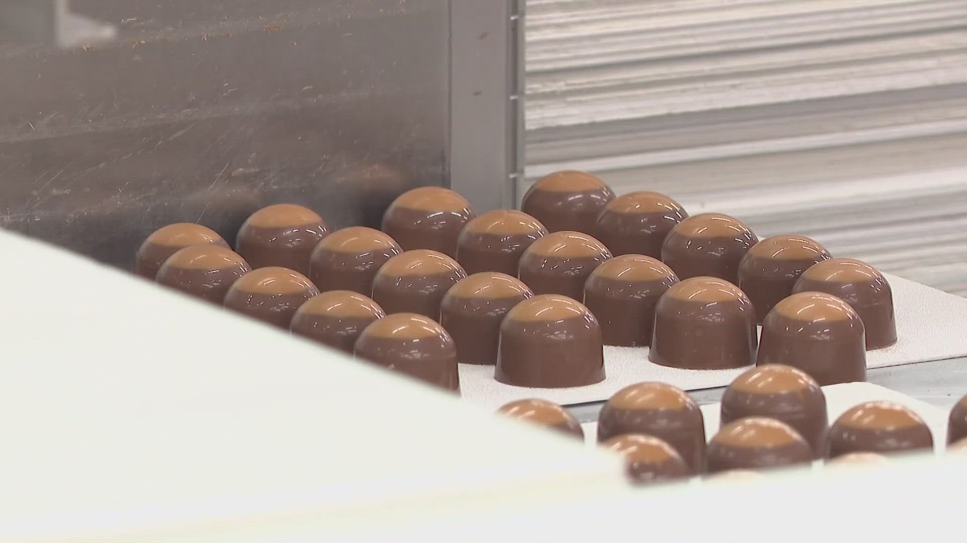 Ohio lawmaker introduces bill to make buckeyes the official state candy ...