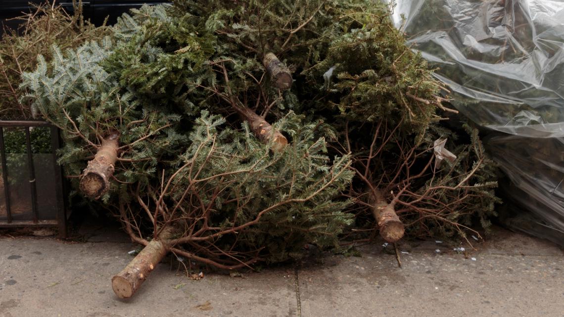 Ways to recycle your Christmas tree in the Mid-South | localmemphis.com