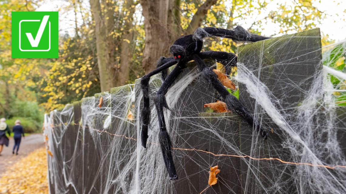 Are fake spiderwebs bad for wildlife? | wthr.com