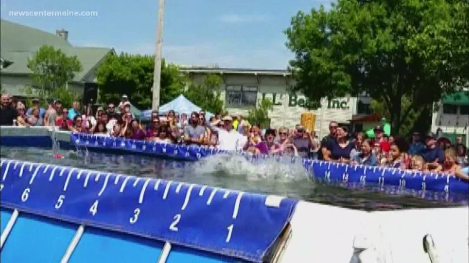Dolly Pawton heads to Tennessee for the DockDogs World Championships ...