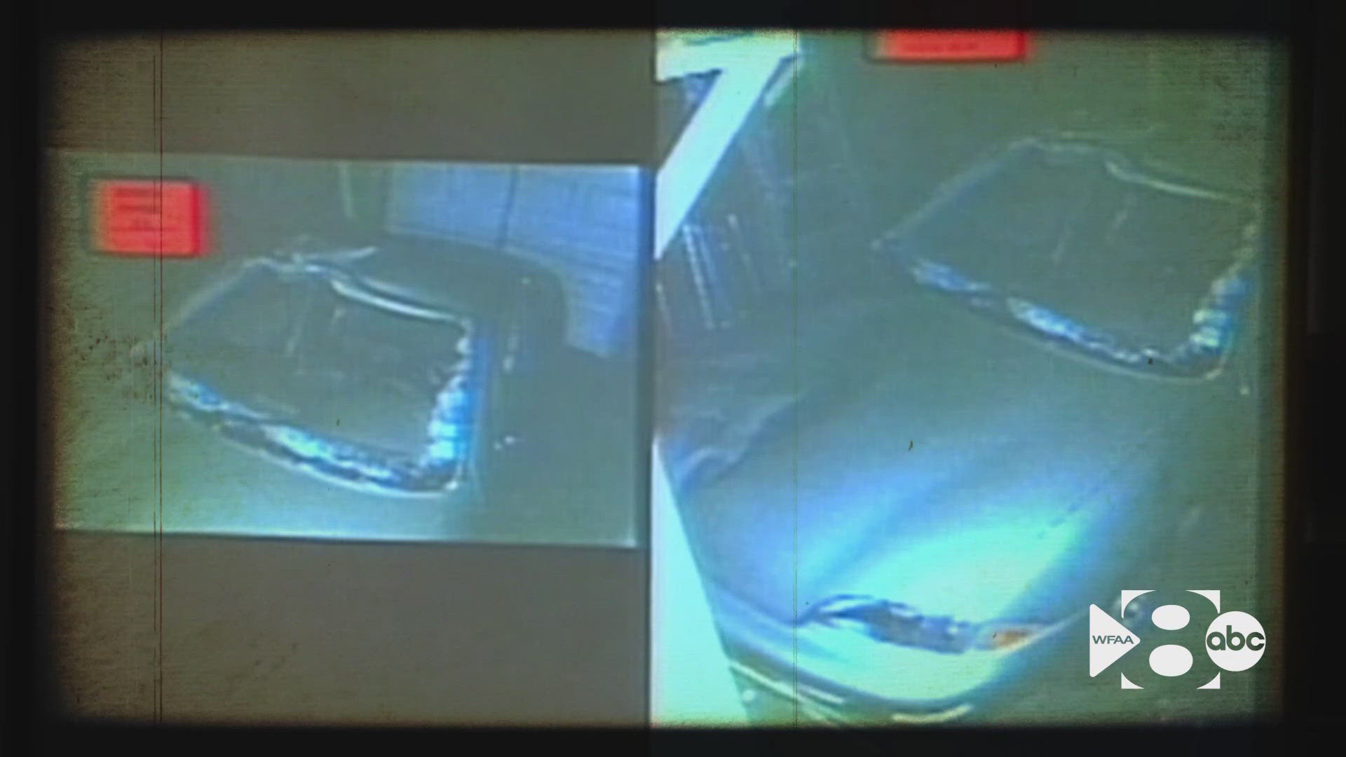 'Windshield murder' of Gregory Biggs: The hit-and-run case that shocked ...