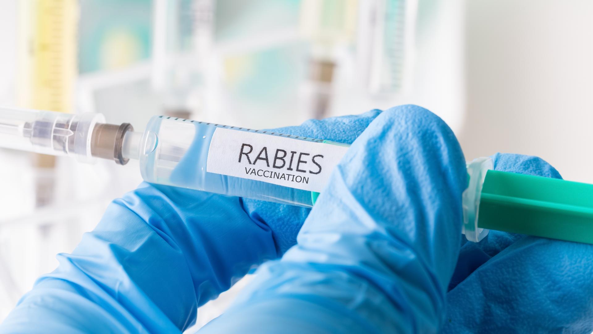 Rabid cat in Alabama prompts urgent rabies warnings for pet owners ...