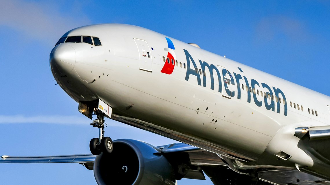 New York woman gets prison term after in-flight altercation | 10tv.com
