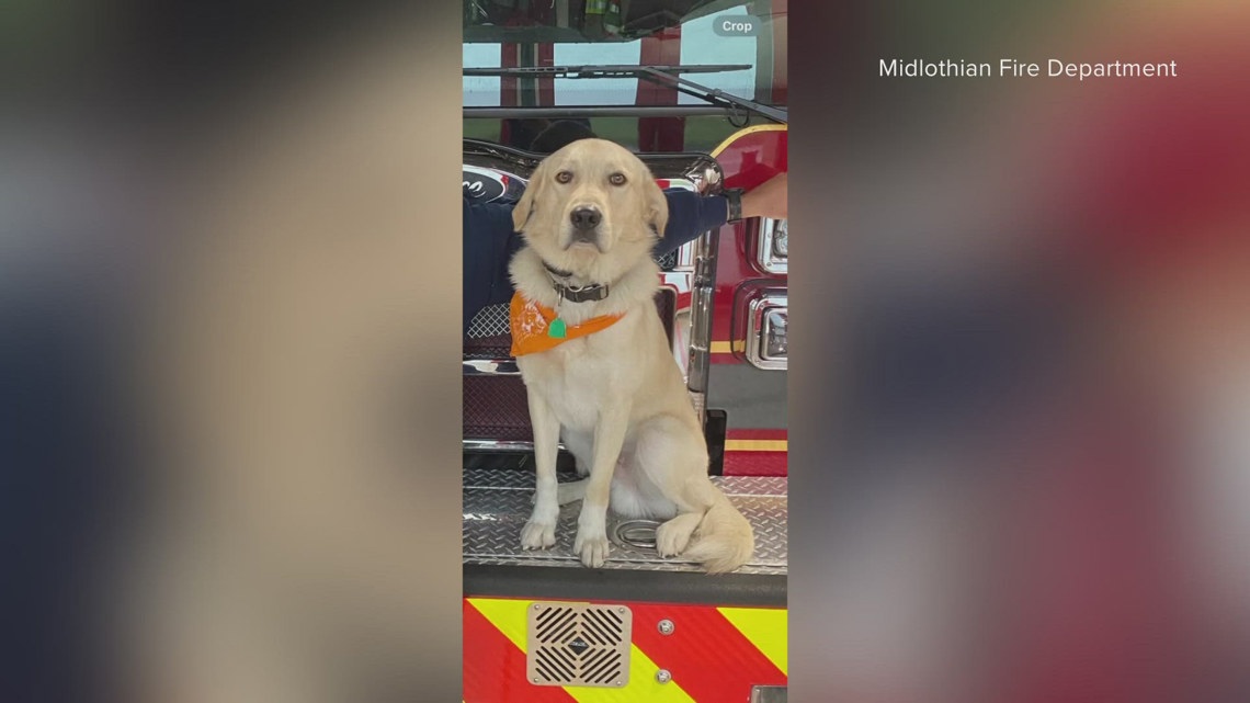 Texas fire department's firehouse dog goes missing | 5newsonline.com