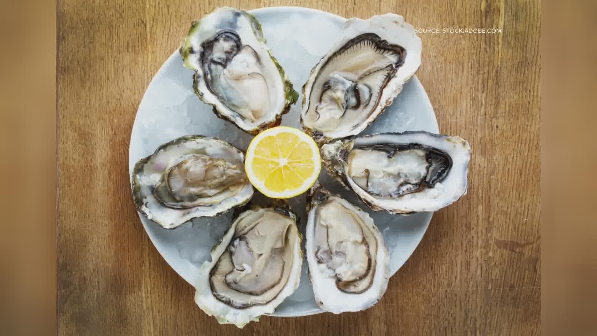 'Raw' deal: it's safe to eat oysters all year, but cooked is best ...