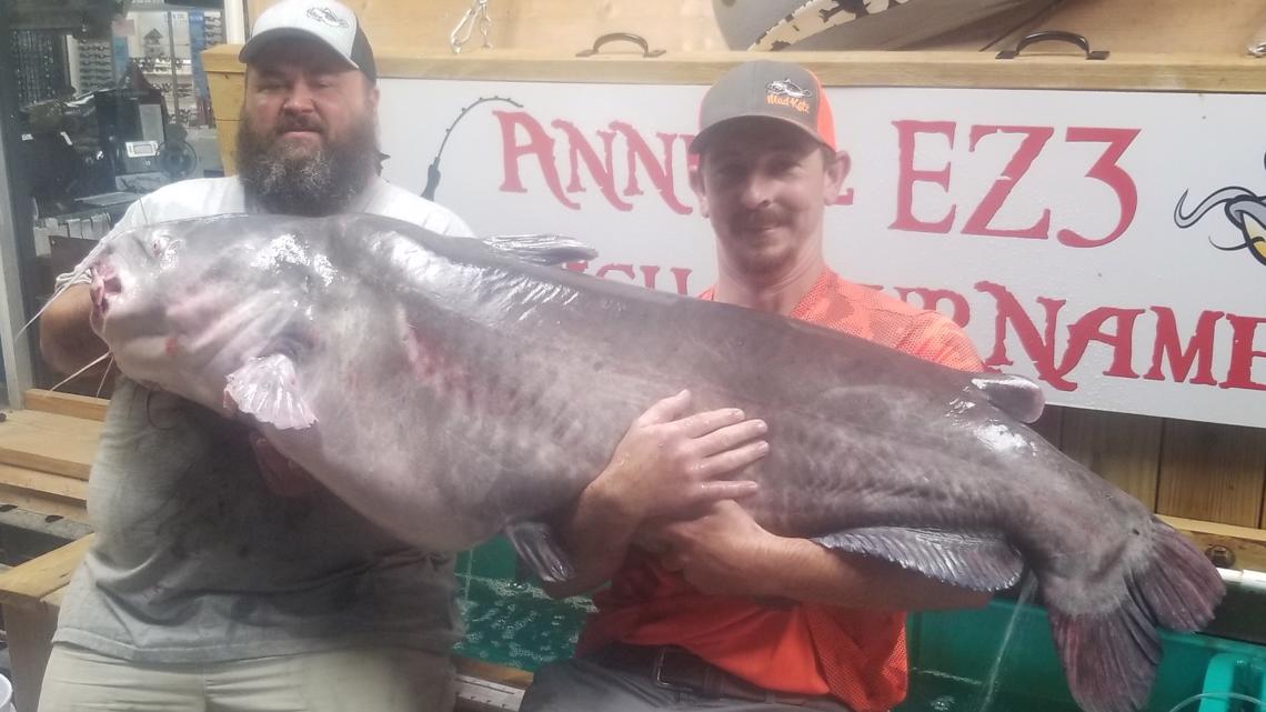 River Monsters: NC men catch giant catfish to break state record | wthr.com