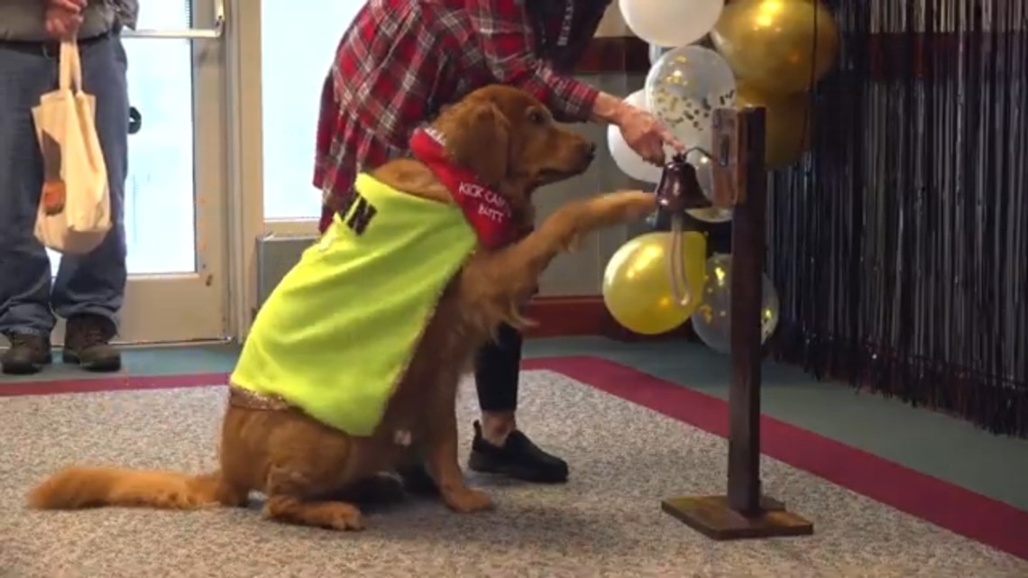 Triad therapy dog rings cancer bell after going into remission | 10tv.com