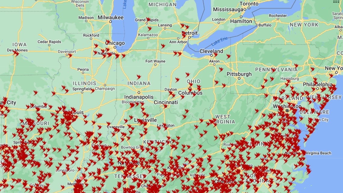 Hummingbird migration: Where are they now? | wthr.com