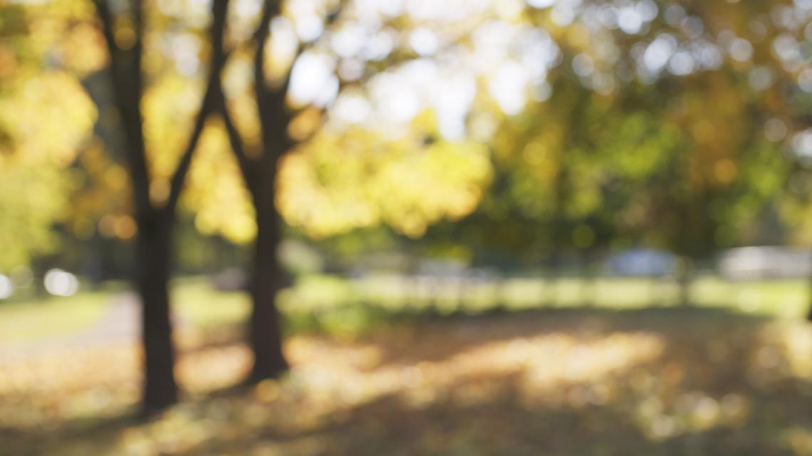 City breaks ground on Frayser park renovations | localmemphis.com