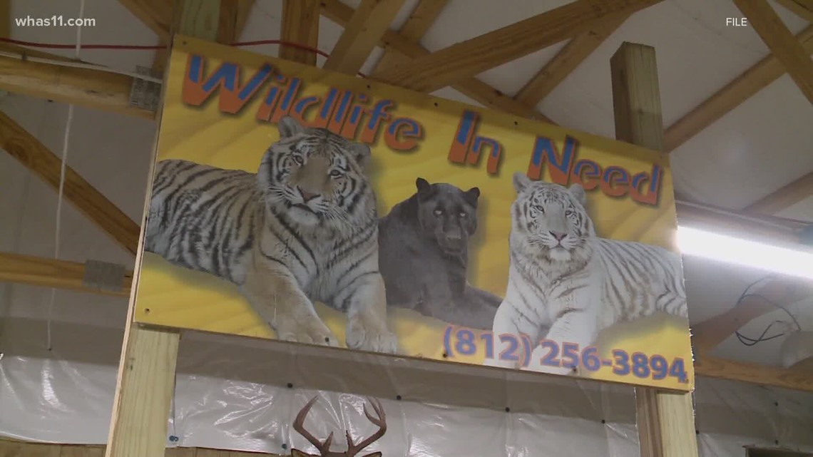 Tim Stark accused of taking animals from Wildlife in Need | wthr.com