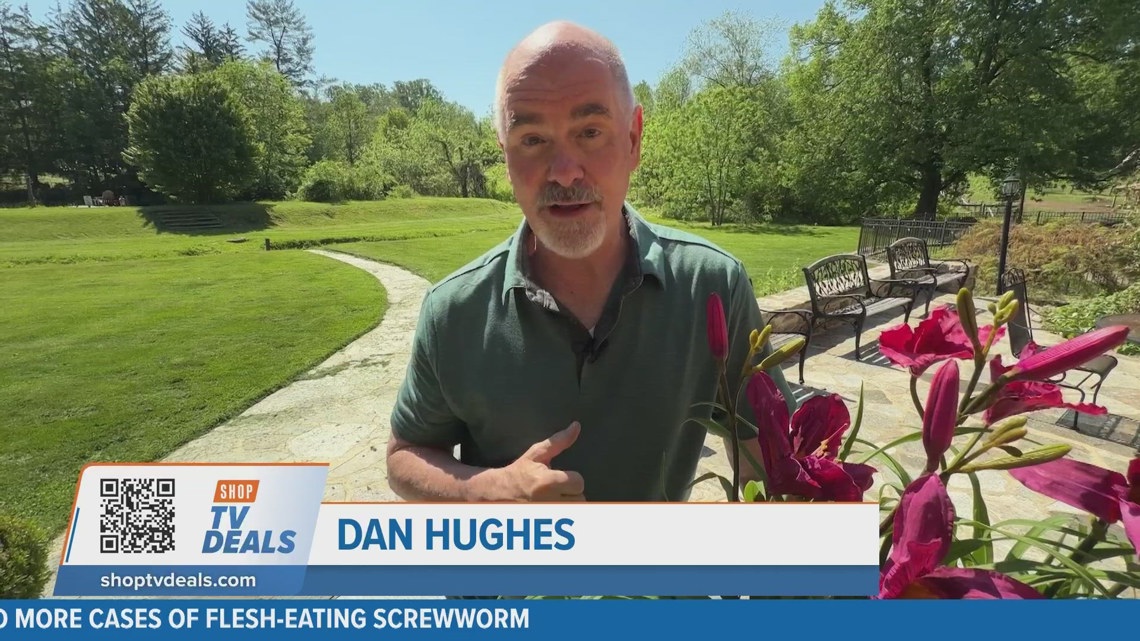 Shop TV Deals: Cottage Farms | fox43.com