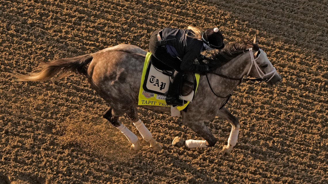 Japan's Derma Sotogake, Forte among KY Derby horses to watch | wthr.com
