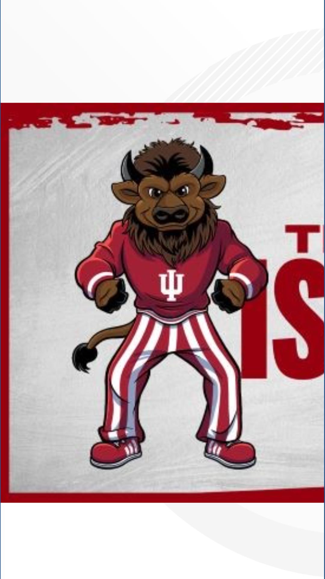 IU revives 'Hoosier the Bison' mascot after 60 years | wthr.com
