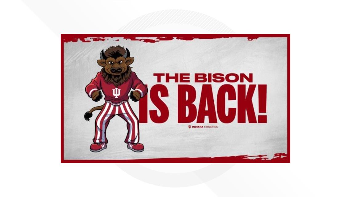 IU revives 'Hoosier the Bison' mascot after 60 years | wthr.com
