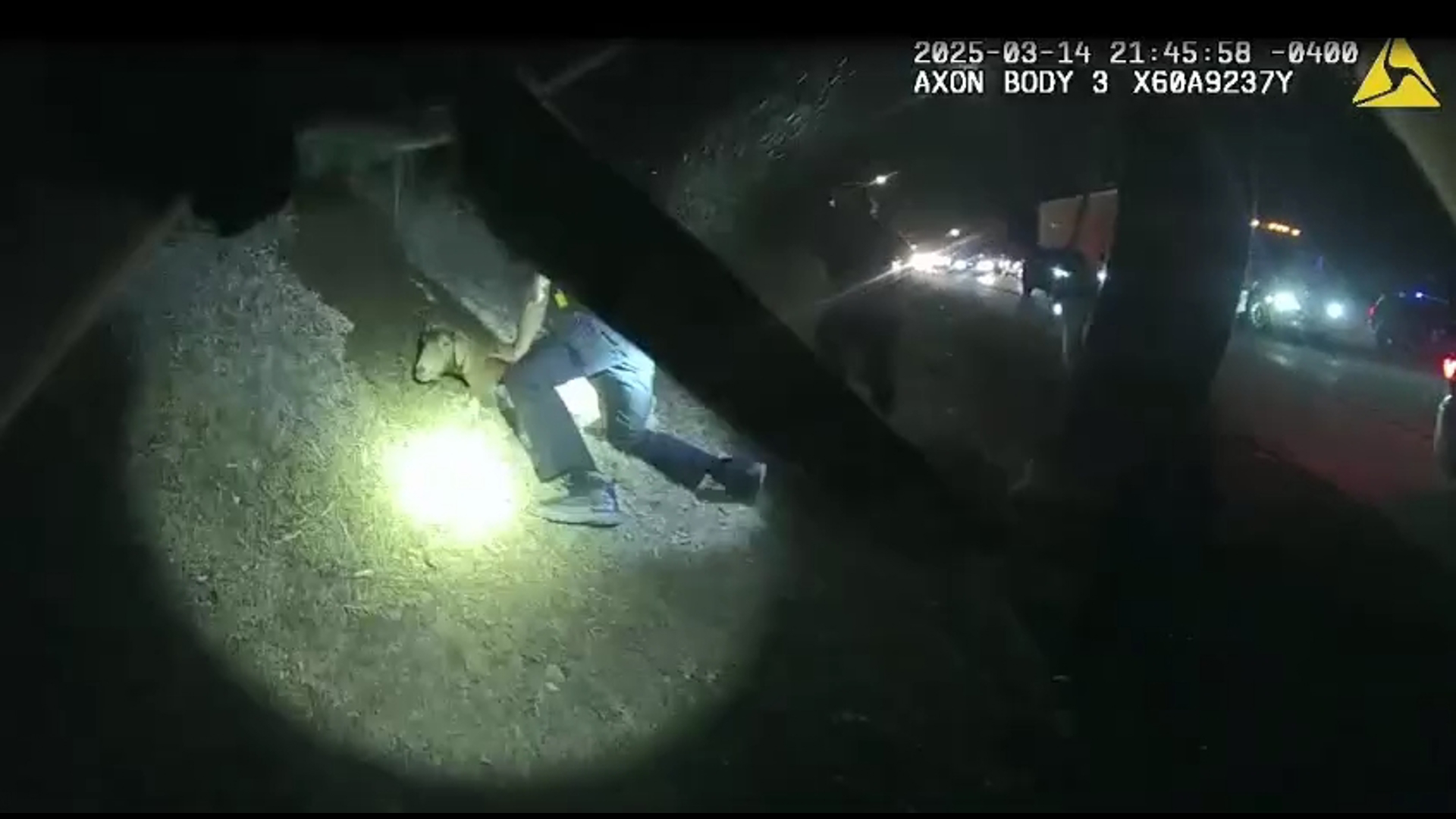 WATCH: Akron police rescue goat running loose on SR 8 | 10tv.com
