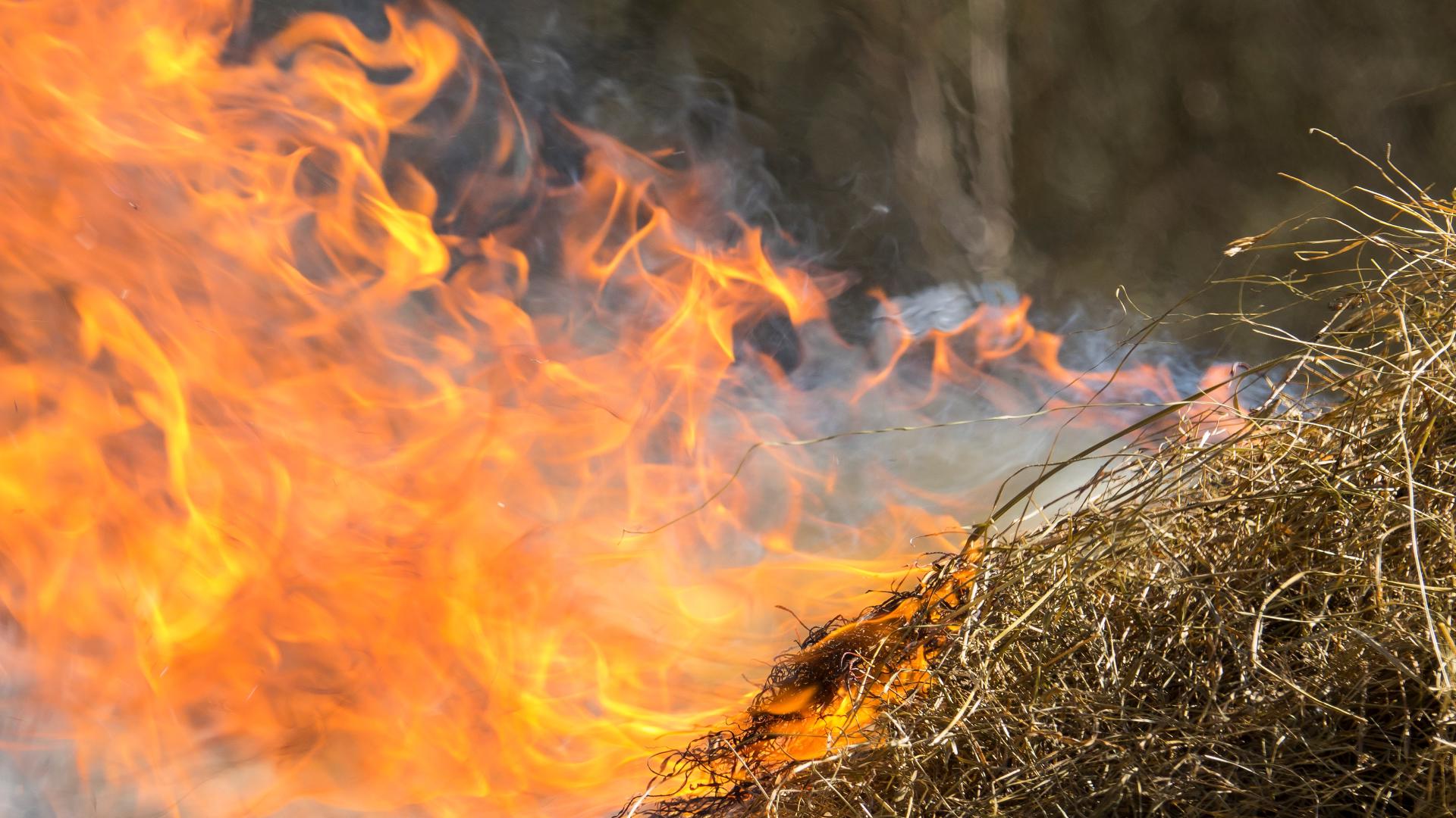 Outdoor burn bans lifted in Arkansas as drought conditions improve ...