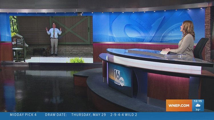 Closings and Delays from WNEP serving Northeastern and Central ...