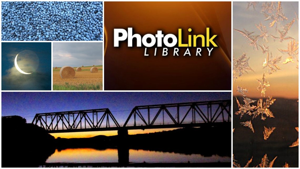 Photo Gallery: A Look at 2014 in the PhotoLink Library | wnep.com