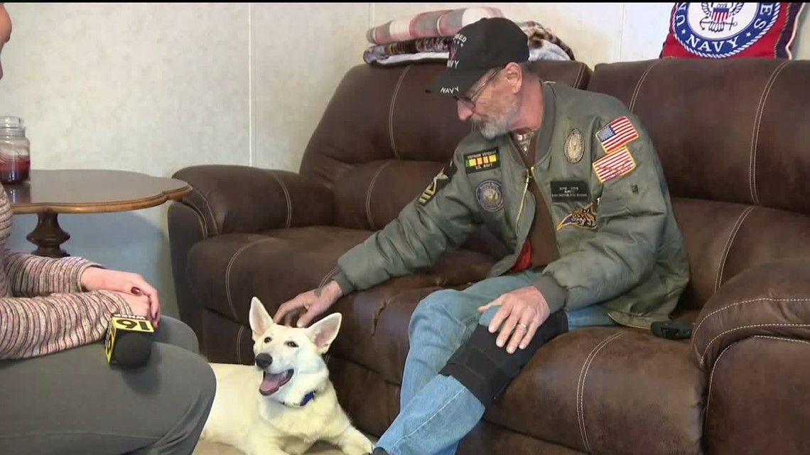 Justice for Kaiser, the Dog Shot and Killed in Columbia County | wnep.com