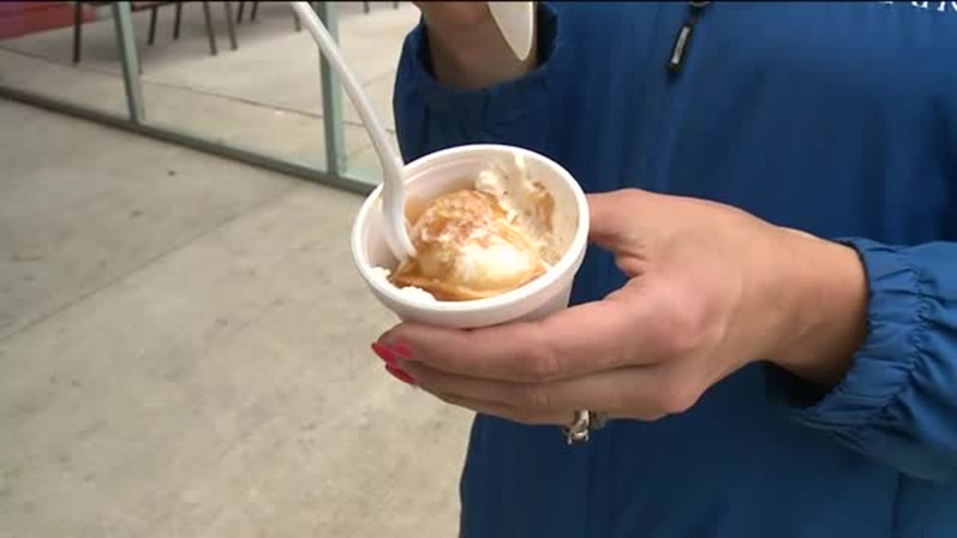 Taste Test: Sprinkles and Shakes Ice Cream & Grill | wnep.com