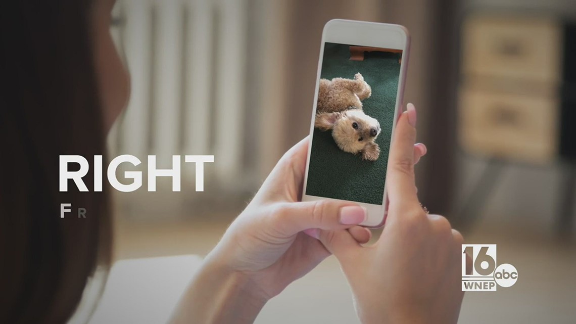 Share your photos to the Pet Slideshow with the WNEP app | wnep.com