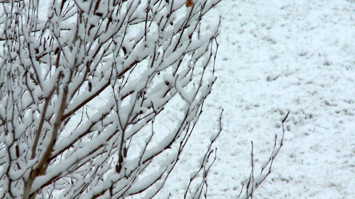 Wham Cam: Snow in April? | wnep.com