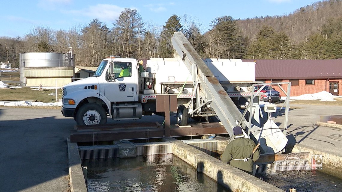 Tylersville State Fish Hatchery | wnep.com