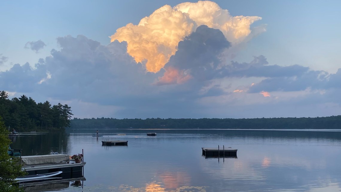Beautiful moments in the PhotoLink Library | wnep.com