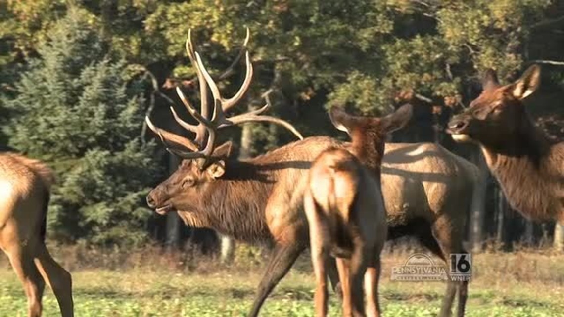 Elk Country Visitors Center | wnep.com