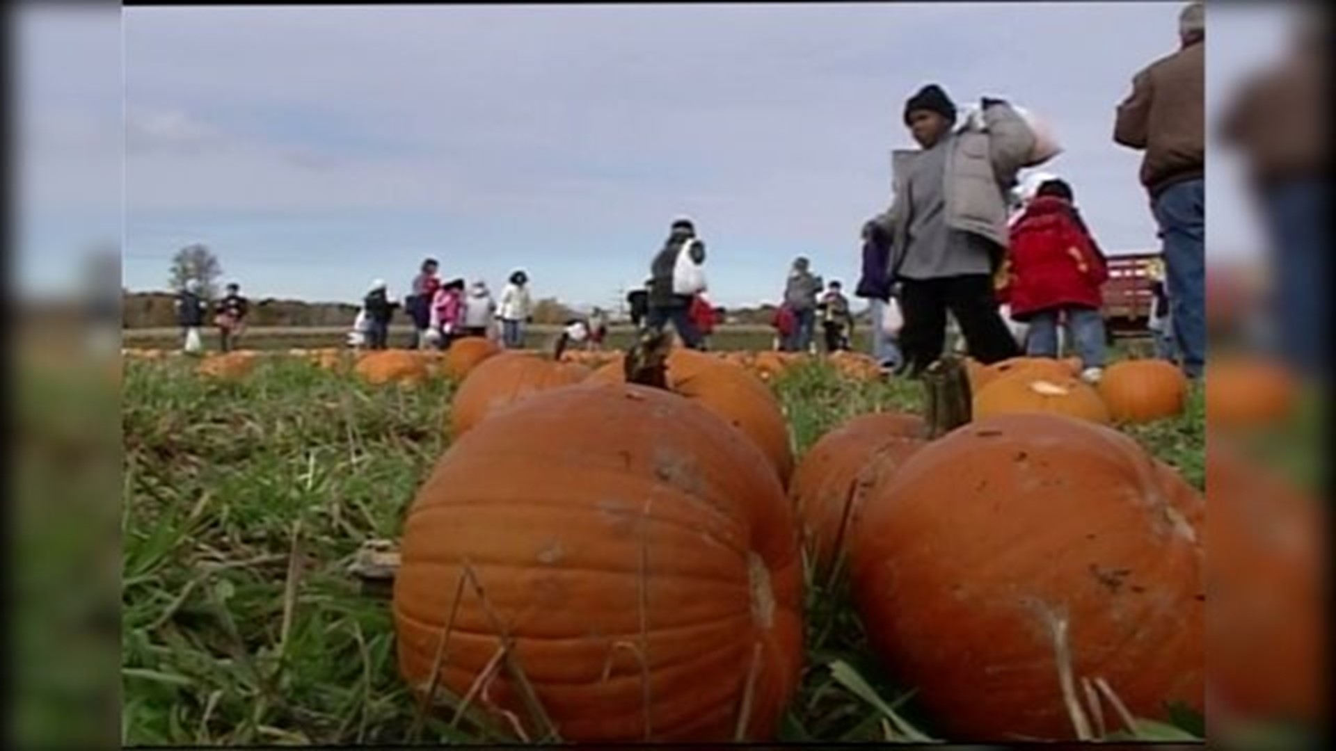 A Visit to the Pumpkin Patch in 2005 | wnep.com