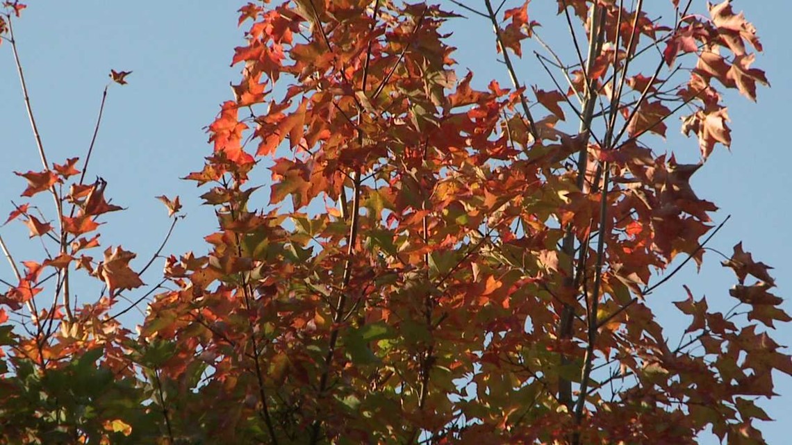 Picture Perfect Fall in Jim Thorpe | wnep.com