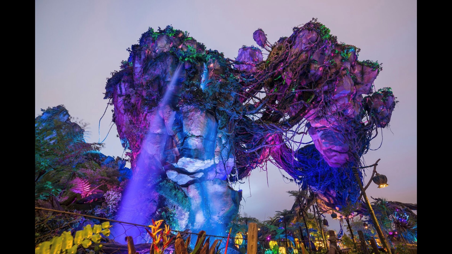 13 stunning photos of Disney’s ‘Pandora: The World of Avatar’ at night ...