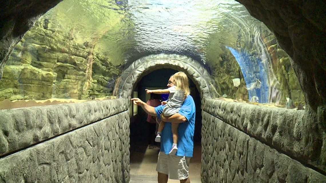 New Aquarium Opens in Scranton | wnep.com