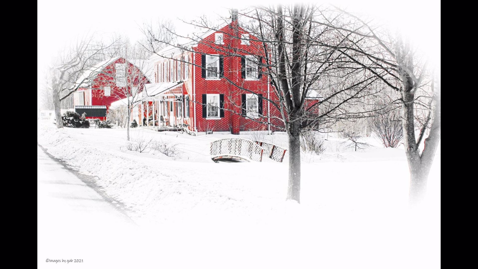 PhotoLink Library: March 2021 Photo Gallery | wnep.com