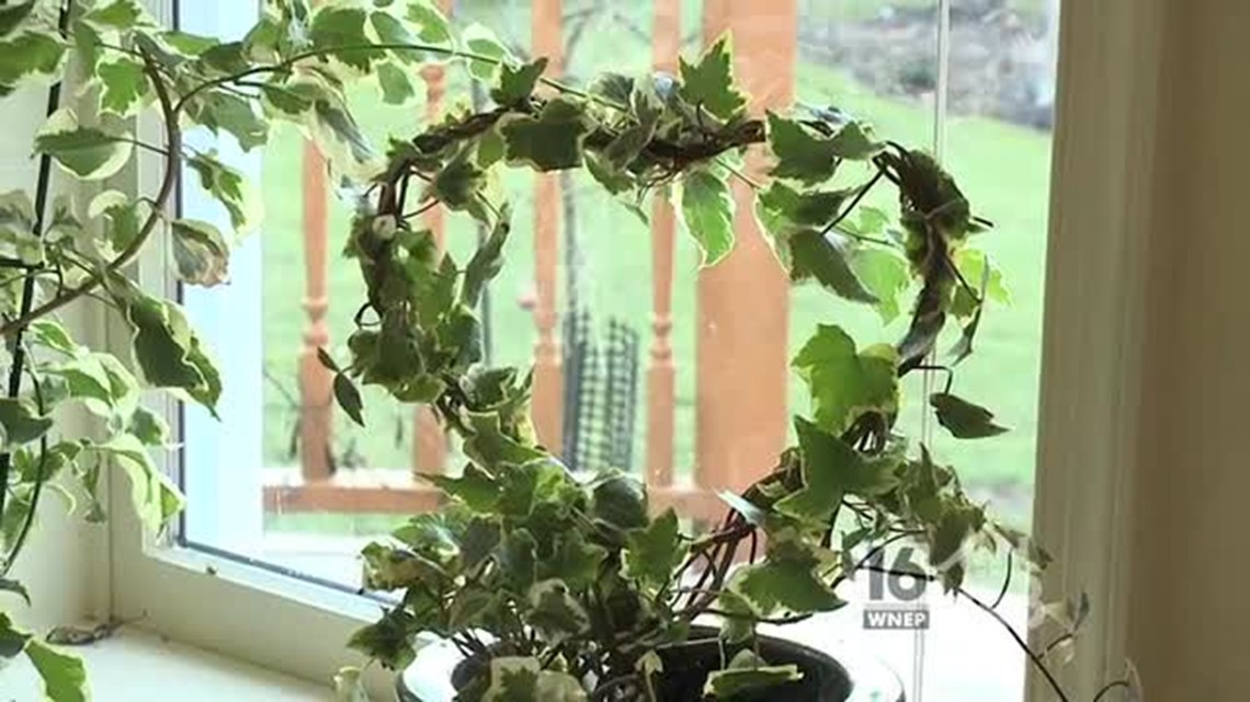 Heart Vine Topiary | wnep.com