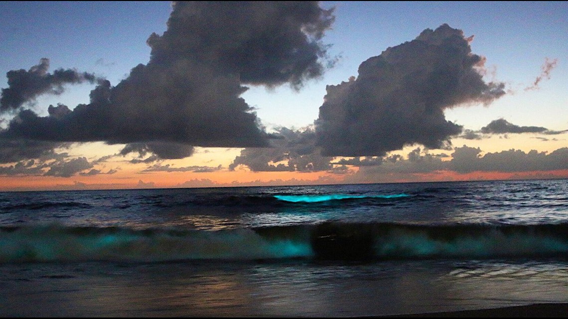 What’s Causing Glowing Waves at the Virginia Beach Oceanfront? | wnep.com