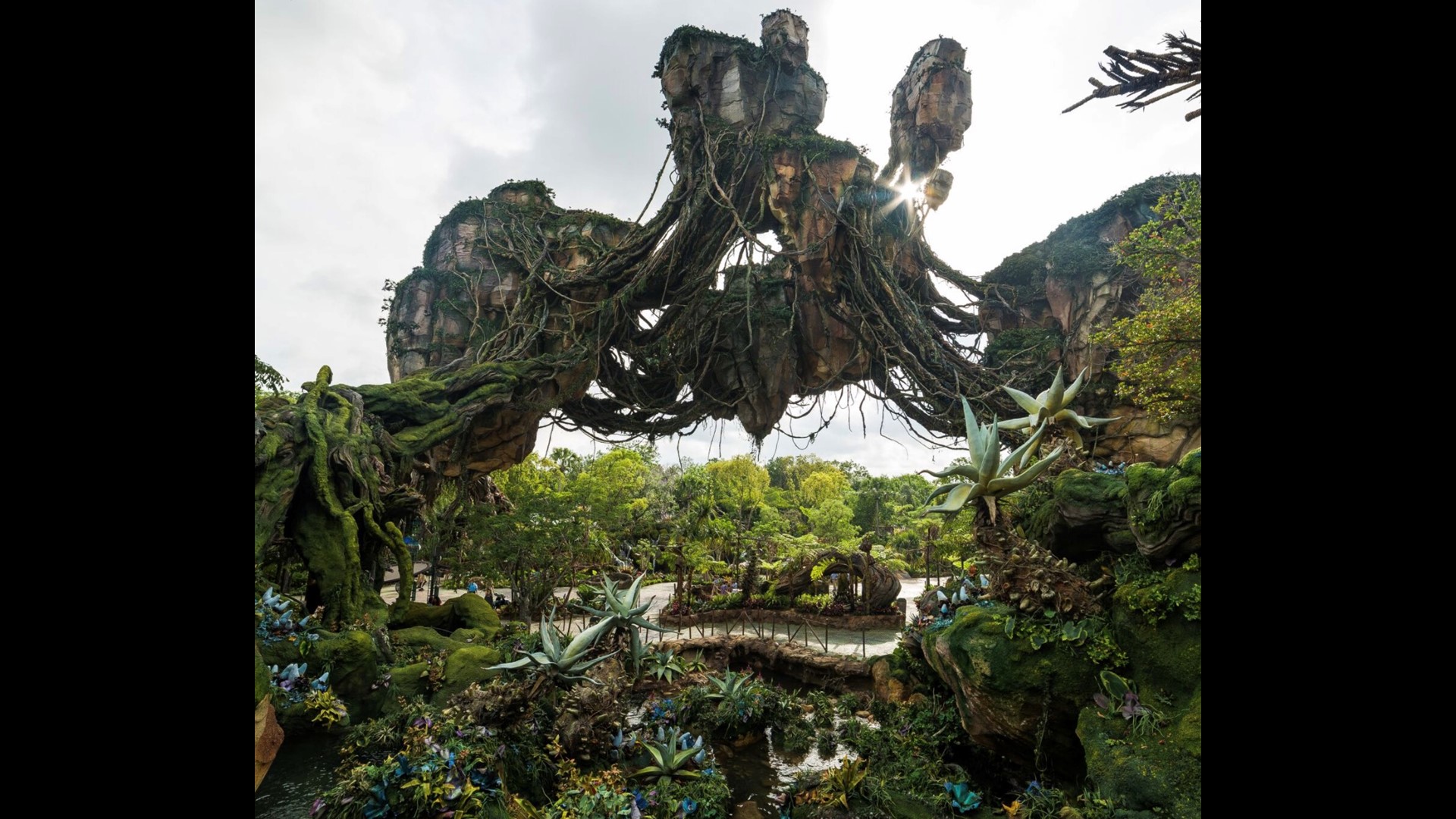 ‘Flight of Passage’ Avatar Ride Is Disney’s Best New Attraction in ...