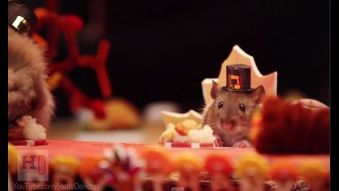 Watch: A Tiny Hamster & Friends Enjoy An Epic Thanksgiving Feast | wnep.com