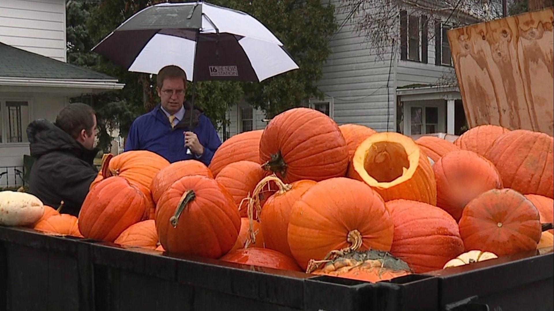 Power To Save: Recycling Pumpkins | wnep.com