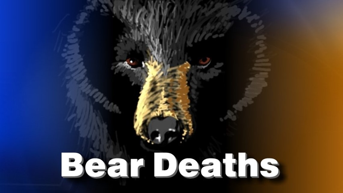 Game Commission Investigating ‘Suspicious’ Bear Deaths | wnep.com