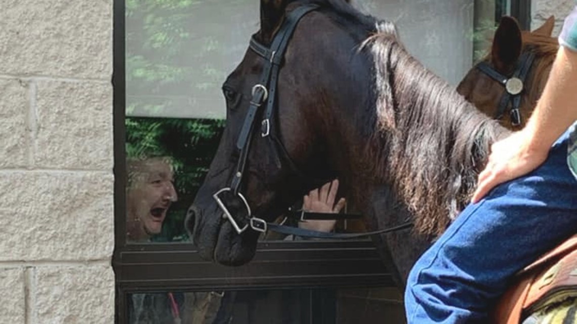 Horsing around at Riverstreet Manor | wnep.com