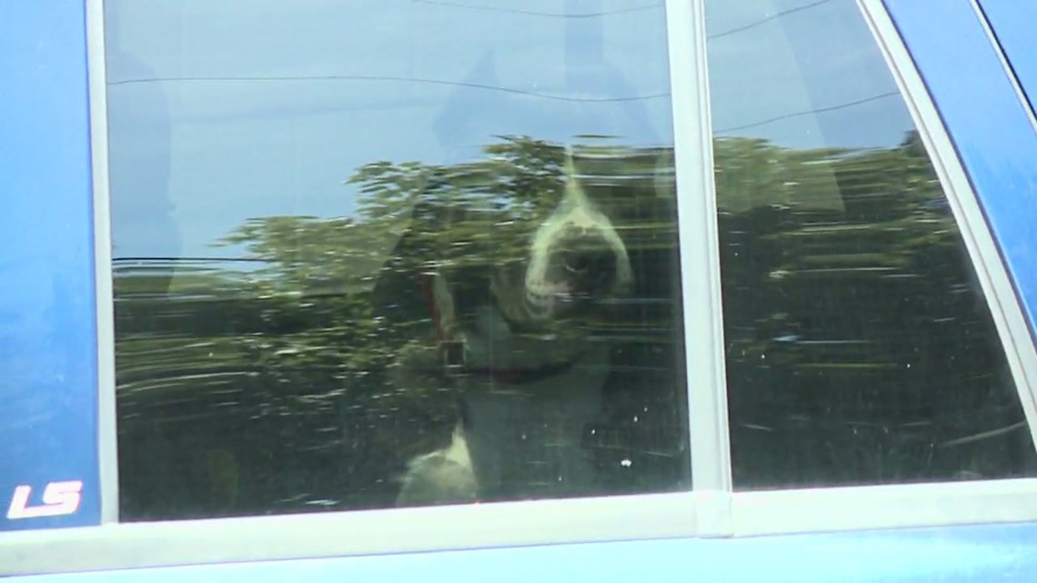 Protest in Sunbury Over Pit Bull | wnep.com