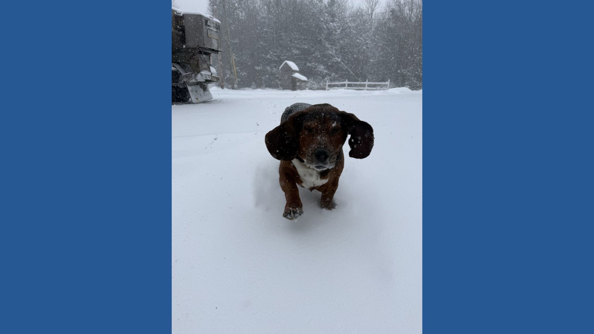 January winter storm arrives, as shown by you | wnep.com