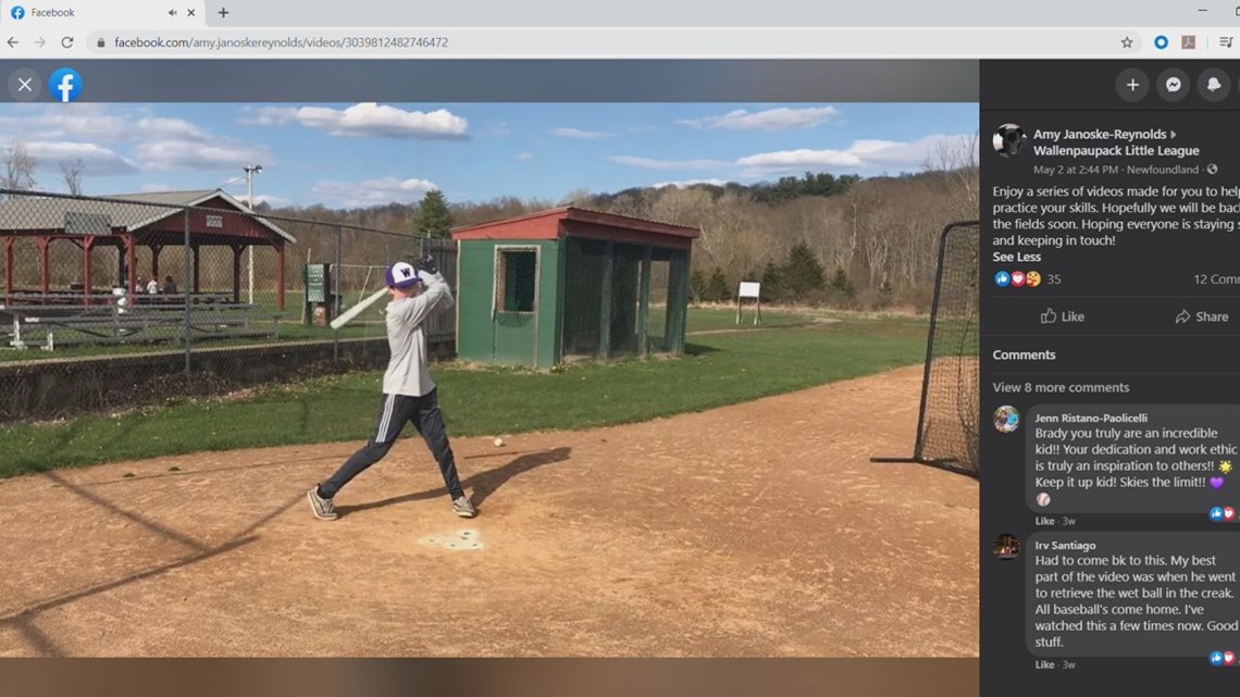 Reynolds Starts Baseball Web Series for Wallenpaupack Little League ...