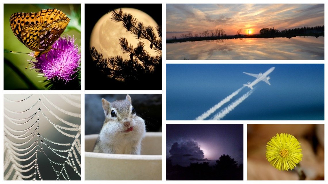 Photo Gallery: The Best of 2016 in The PhotoLink Library | wnep.com