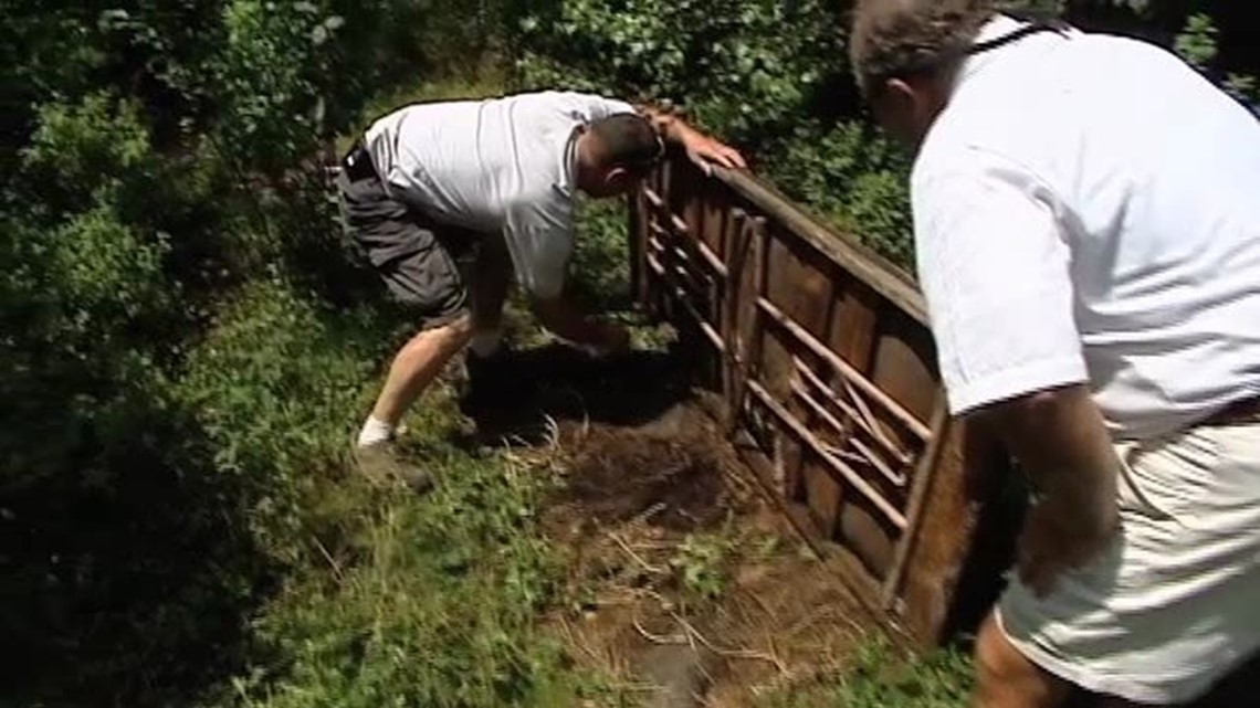 Non Venomous Snakes with Rick Koval | wnep.com