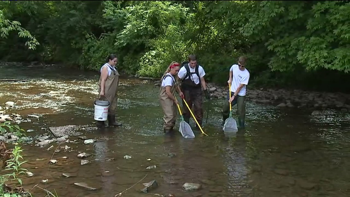 Lycoming College’s Clean Water Institute | wnep.com