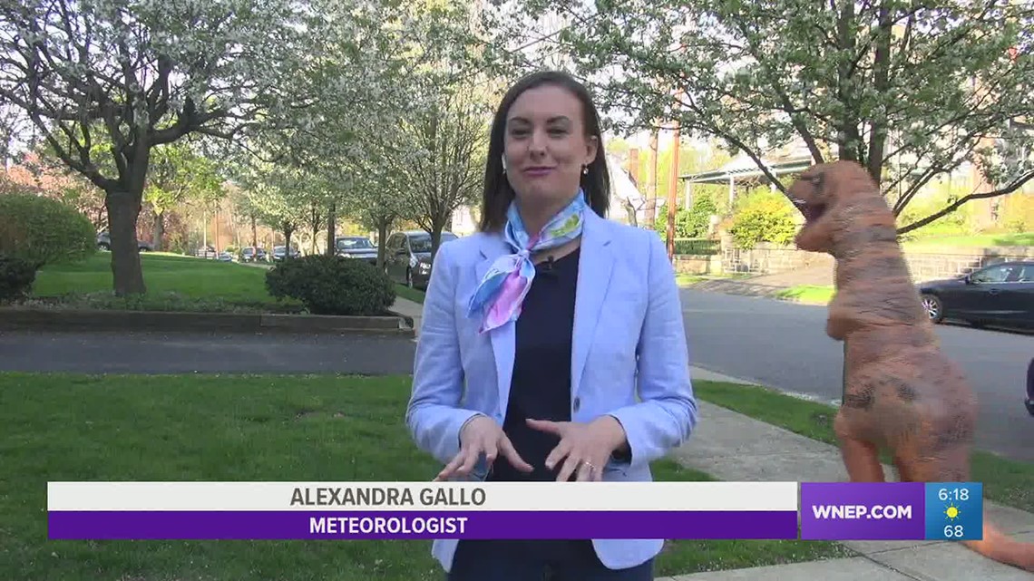 Ally Gallo has a special guest during live forecast | wnep.com