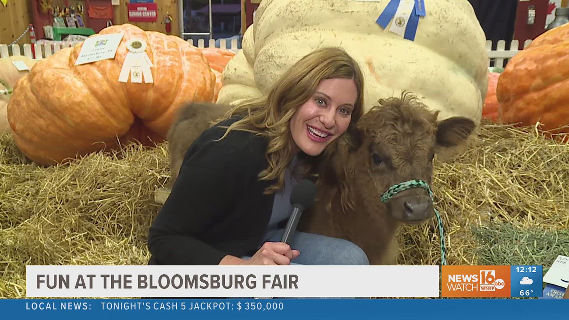 Experience the 170th Bloomsburg Fair: Food, Fun & More | wnep.com