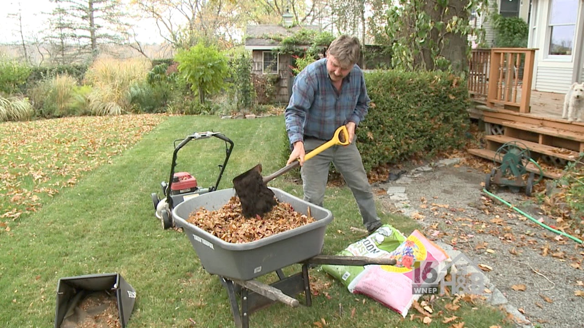 Keep Those Falling Leaves In Your Yard | wnep.com